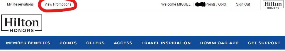 Hotel Loyalty Programs: How Hilton Consistently Gives You 10% Back