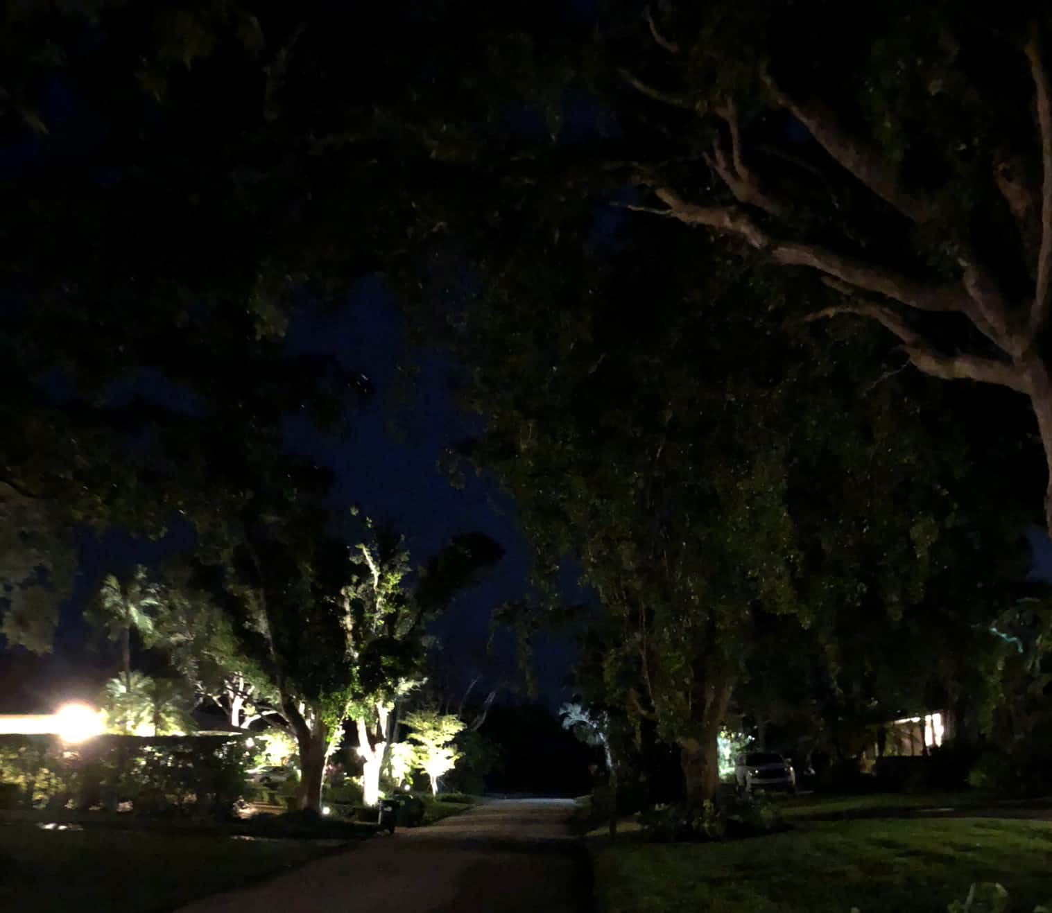 Know Exactly When Night is Coming So You're Not Caught Out in the Dark