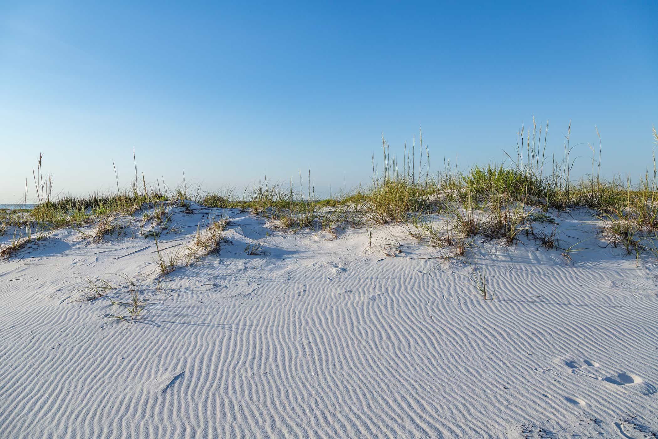 Why You Should Visit Sand Island in Pensacola, Florida